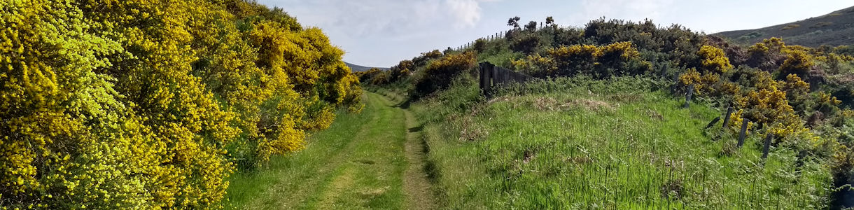 Dava Way Association – One of Scotland's Great Trails