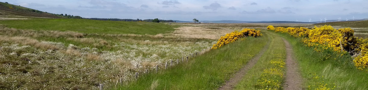 Dava Way Association – One of Scotland's Great Trails